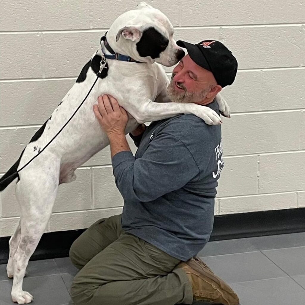 Canine Connection – Training with Soul
